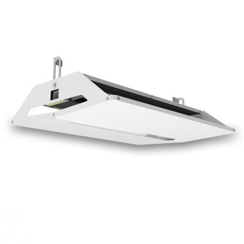 INSECTOCAÇADORES - Agurys